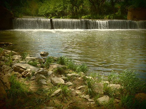 It’s Time for New Executive Director and New Business Plan for PA Fish ...